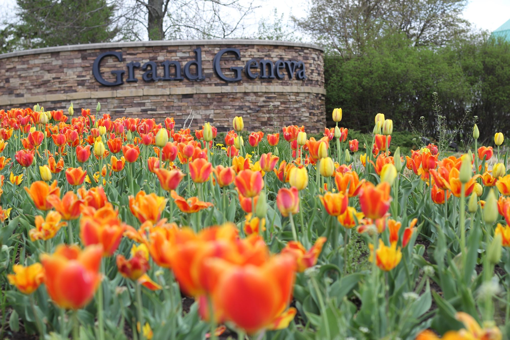 Park Ridge Insider Vinnie Fosco on Main Street’s revival, dining at ...