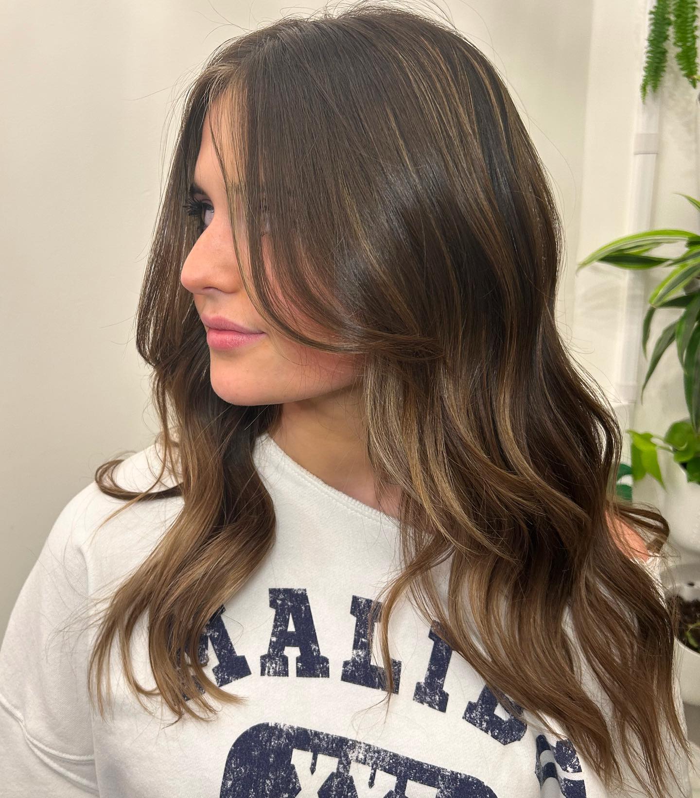 Park Ridge Insider Holly Santelli on the eco-friendly items at her Ash ...